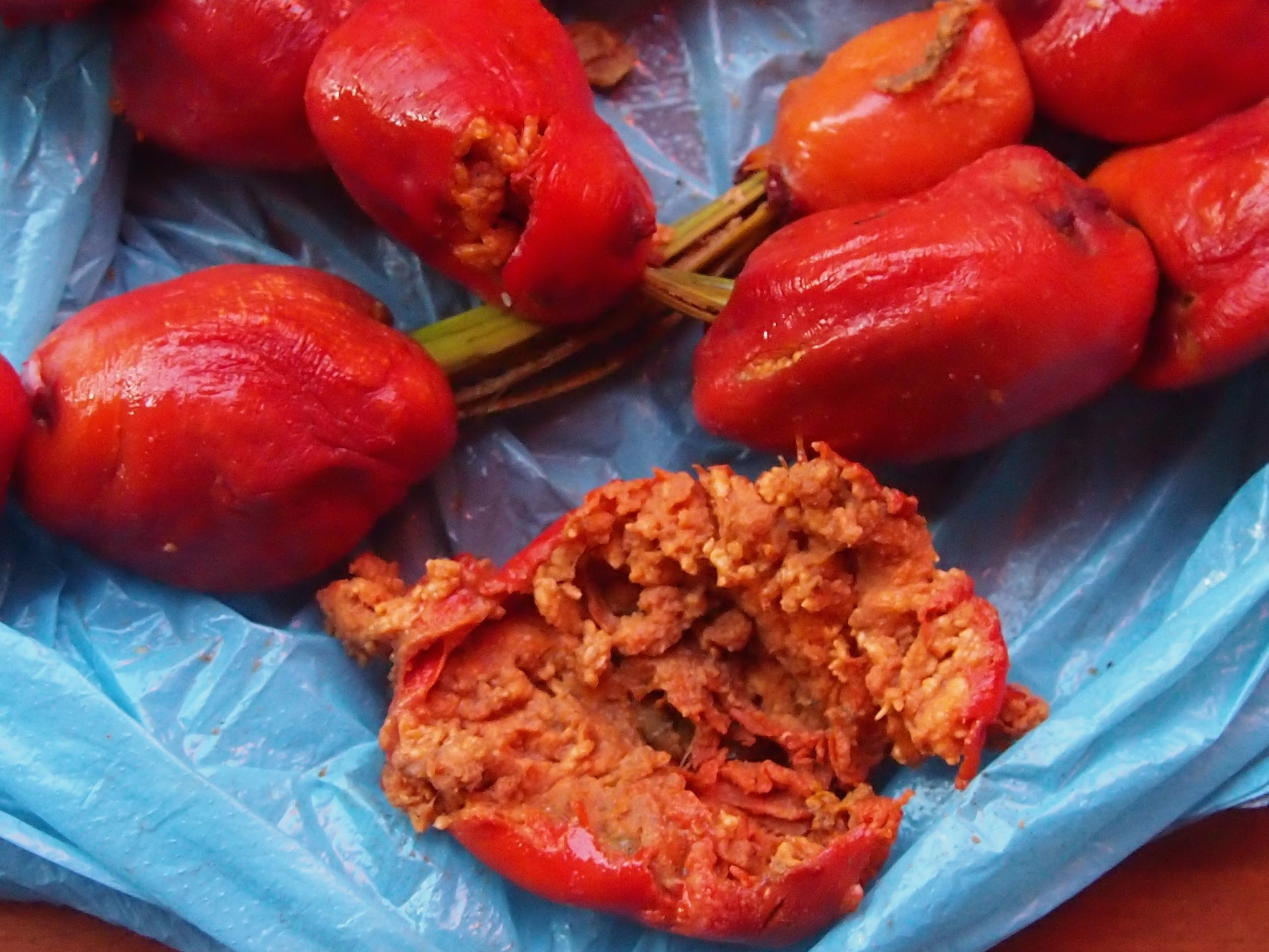 Piure – America Andina